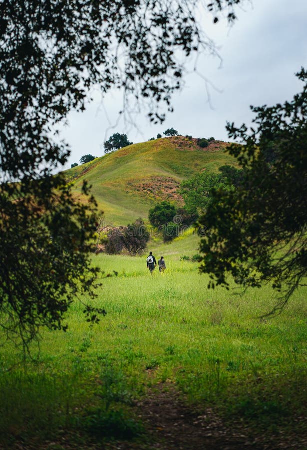 Aerial View of Greenery Field with Trees Stock Image - Image of travel ...