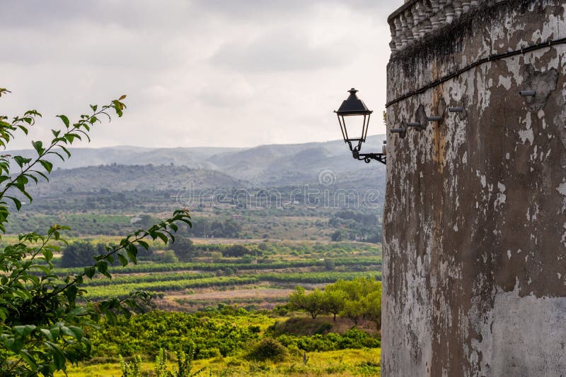 Aerial View of Greenery Fields Behind Building Surrounded by Dense ...