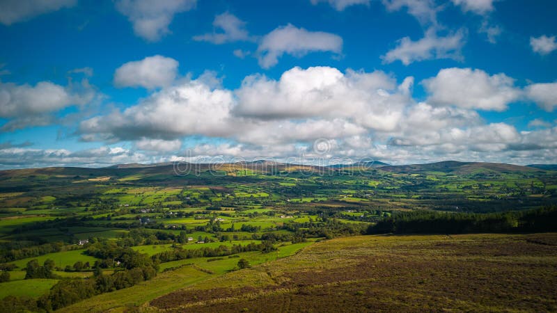 Aerial View of Greenery Fields with Dense Trees Stock Photo - Image of ...