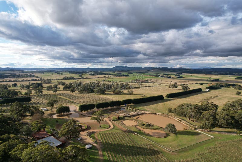 Aerial View of Greenery Fields Surrounded by Growing Lush Trees Stock ...