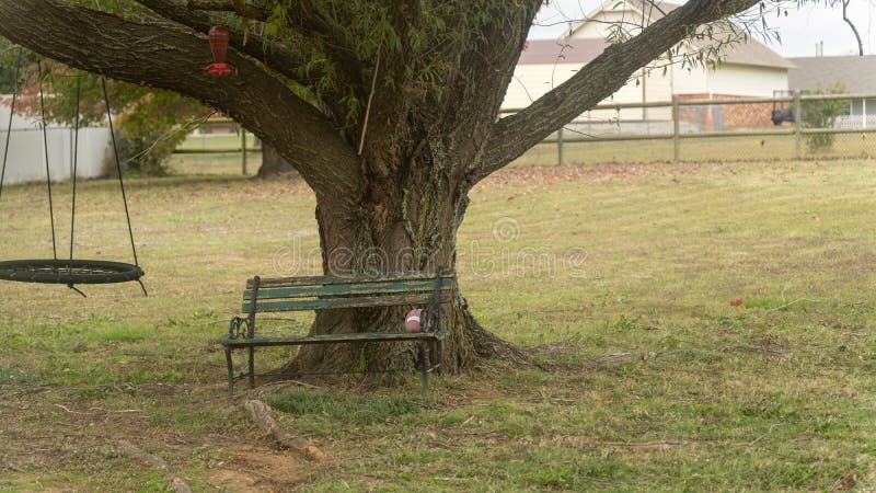 Aerial View of Greenery Park with Bench Stock Image - Image of greenery ...