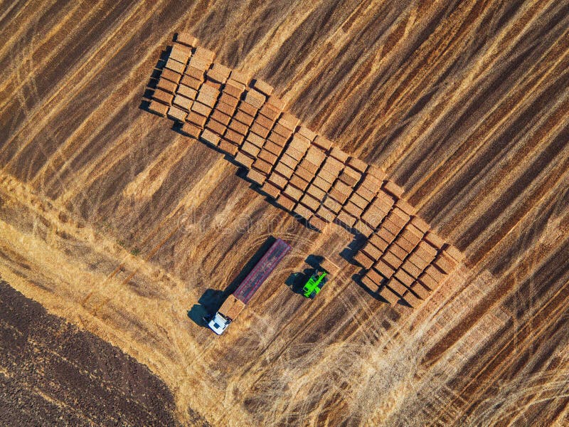 Aerial View of Harvest Field and Hay Bales Stock Image - Image of grain ...