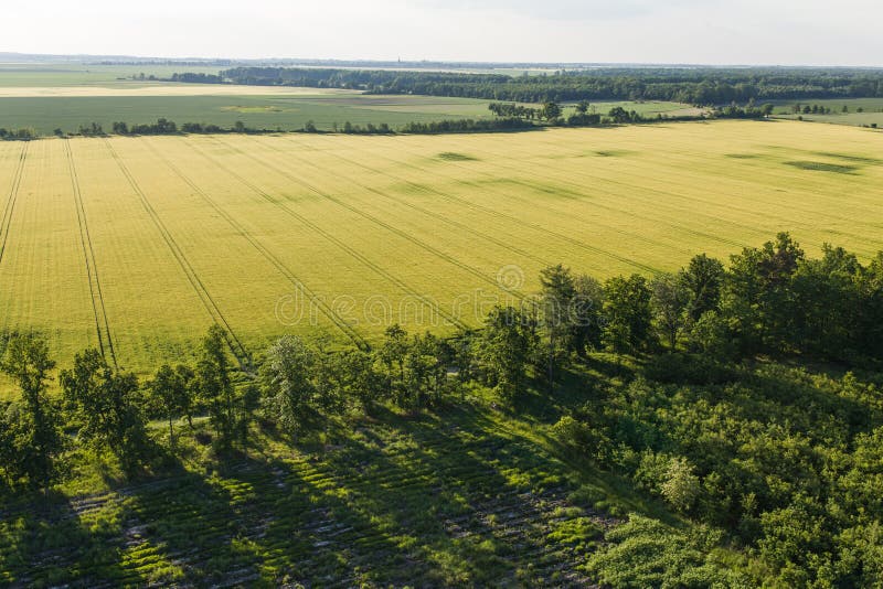 Aerial View of the Harvest Fields Stock Photo - Image of europe, land ...