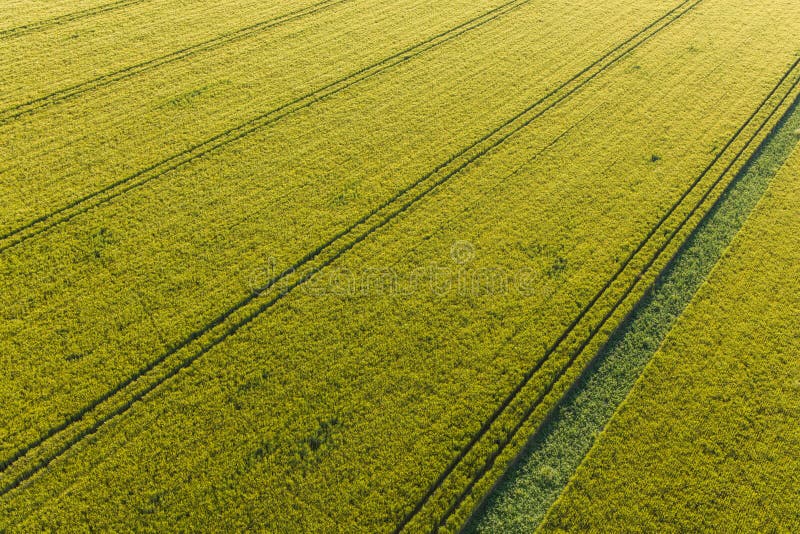Aerial View of the Harvest Fields Stock Photo - Image of view, land ...