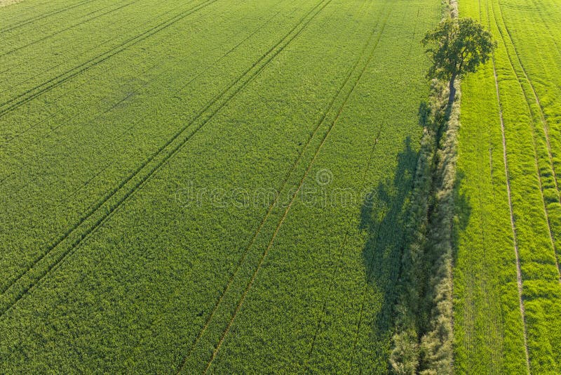 Aerial View of the Harvest Fields Stock Image - Image of poland ...