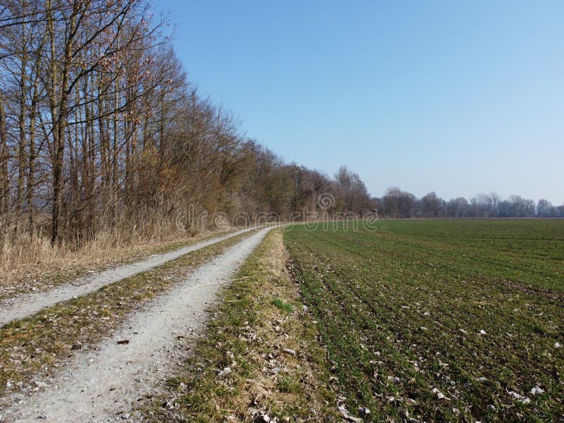Aerial View of the Harvest Fields and Forests in Germany Stock Photo ...