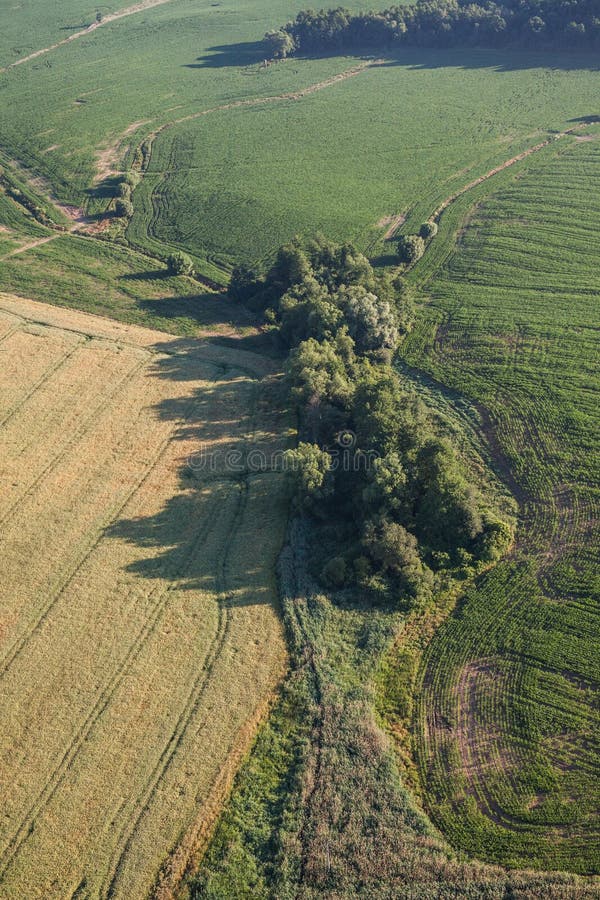 Aerial View of the Harvest Fields Morning Landscape Stock Image - Image ...