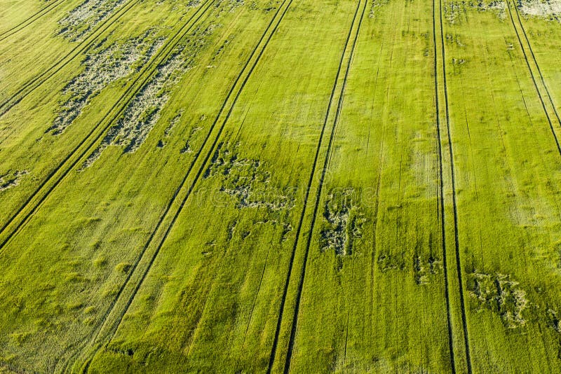 Aerial View of the Harvest Fields Morning Landscape Stock Image - Image ...