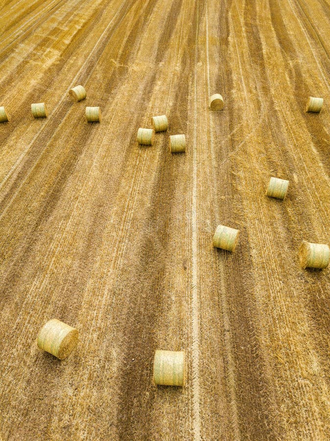 Aerial View of Havested Wheat Fields with Hay Bales Stock Photo - Image ...