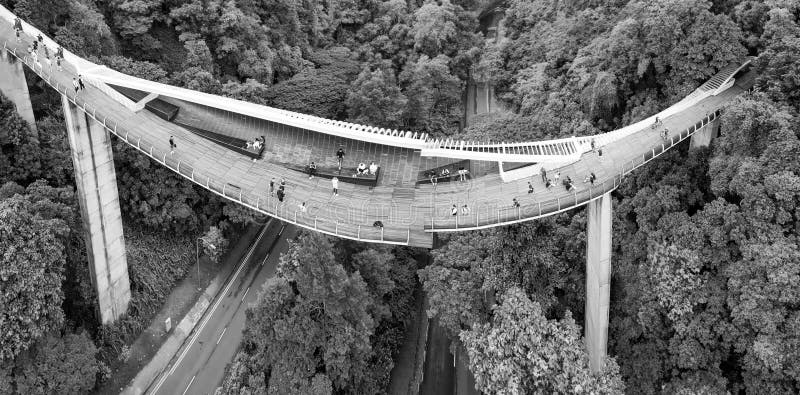 Aerial View of Henderson Waves Bridge in Singapore Stock Image - Image ...