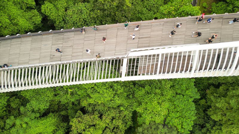 Aerial View of Henderson Waves Bridge in Singapore Stock Photo - Image ...