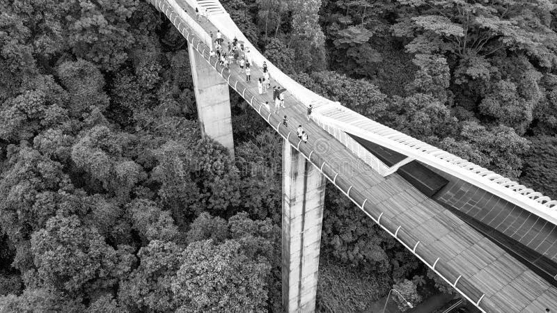 Aerial View of Henderson Waves Bridge in Singapore Stock Photo - Image ...