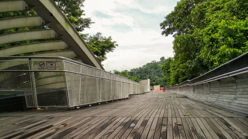 Aerial View of Henderson Waves Bridge in Singapore Stock Image - Image ...