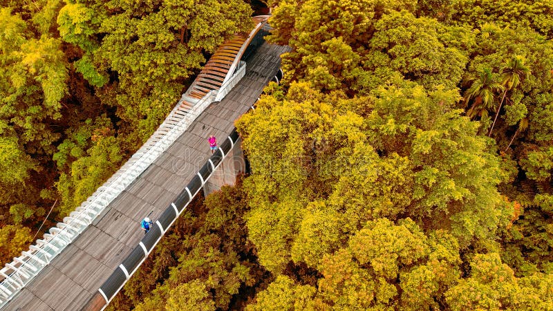 Aerial View of Henderson Waves Bridge in Singapore Editorial Stock ...