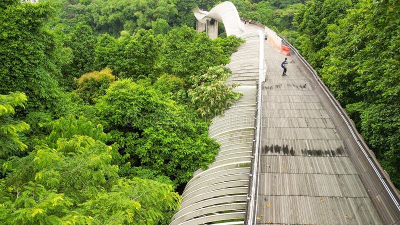 Aerial View of Henderson Waves Bridge in Singapore Stock Photo - Image ...