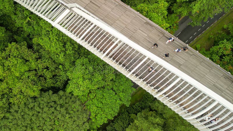 Aerial View of Henderson Waves Bridge in Singapore Stock Photo - Image ...