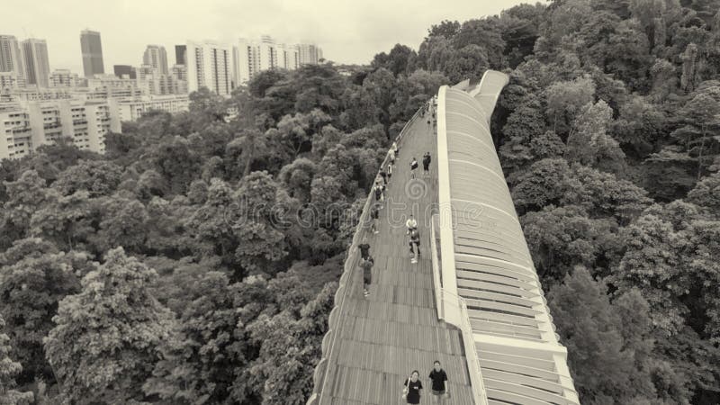 Aerial View of Henderson Waves Bridge in Singapore Stock Image - Image ...