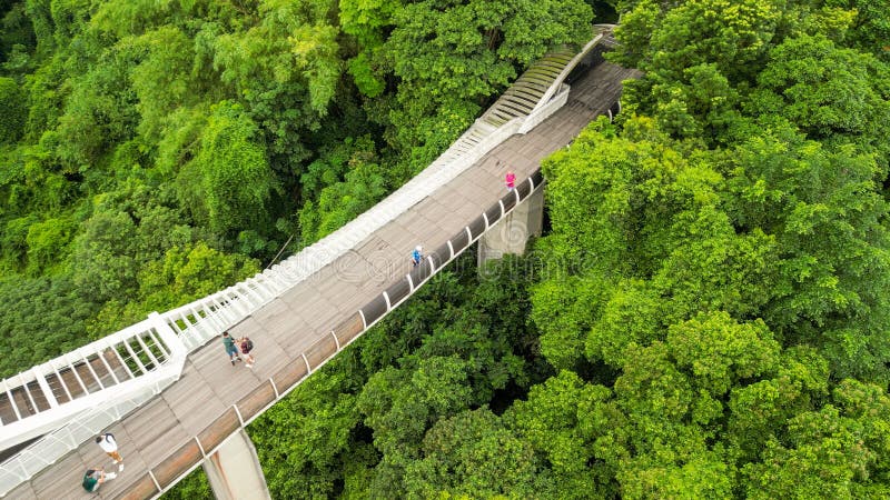 Aerial View of Henderson Waves Bridge in Singapore Editorial Stock ...