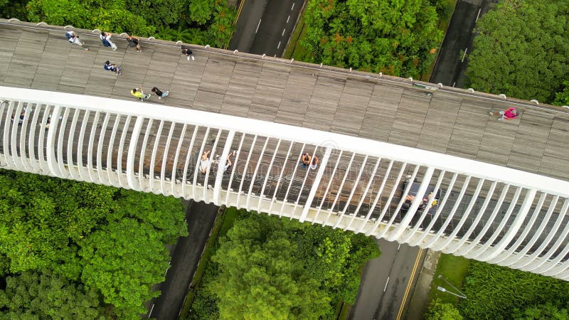 Aerial View of Henderson Waves Bridge in Singapore Stock Photo - Image ...