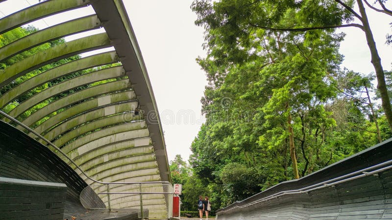 Aerial View of Henderson Waves Bridge in Singapore Stock Image - Image ...