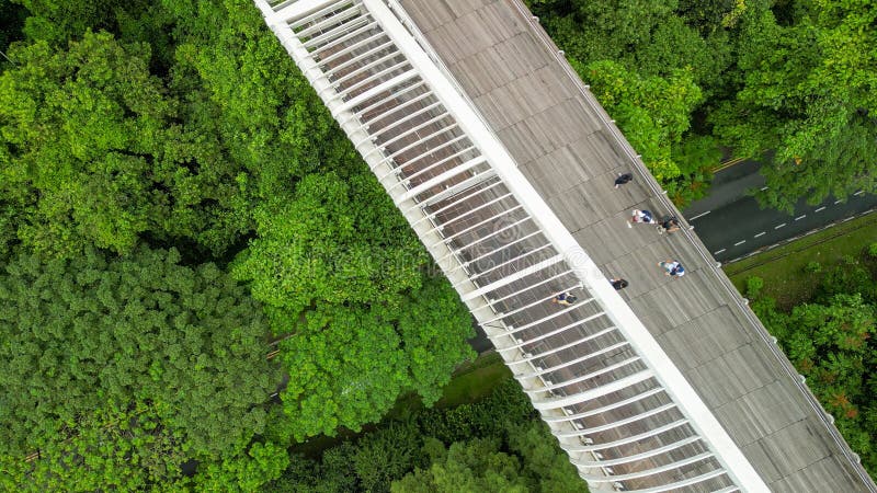 Aerial View of Henderson Waves Bridge in Singapore Stock Photo - Image ...