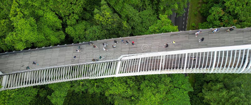 Aerial View of Henderson Waves Bridge in Singapore Stock Photo - Image ...