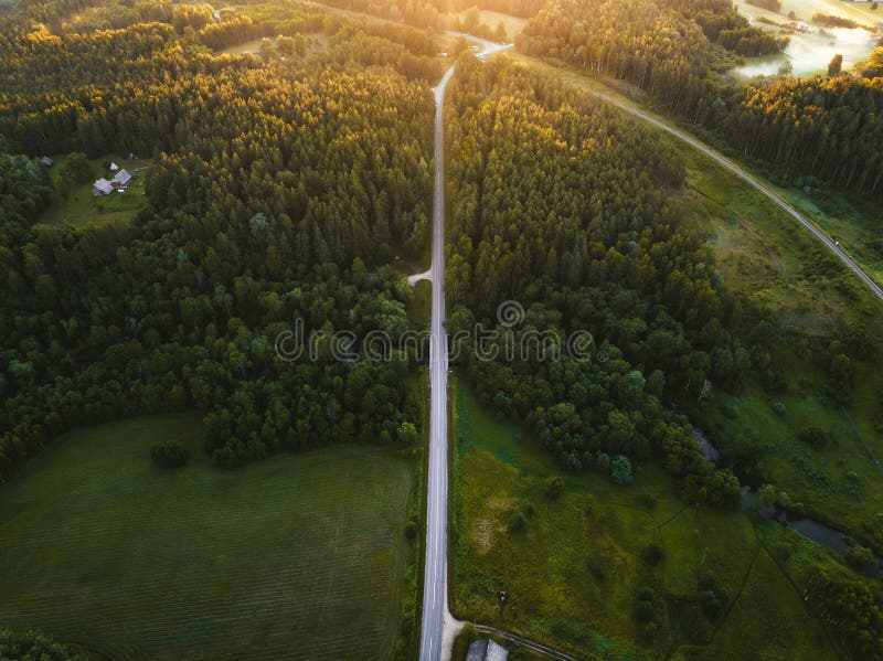 Aerial View of a Highway Road through the Green Forest at Dreamy ...