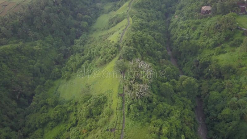 Aerial View of Hilly Area in Jungle, Breathtaking Sight of River and ...