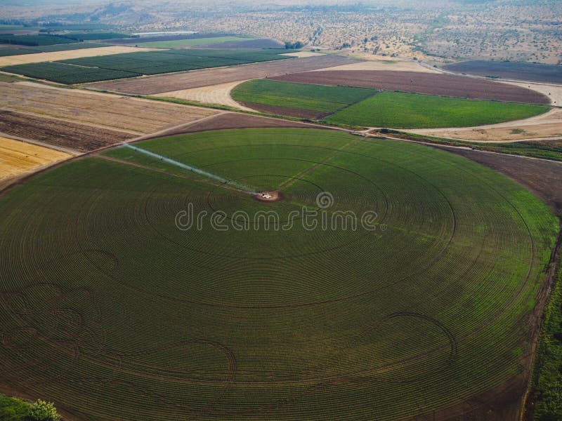 Aerial View of Huge Fields in Spring Stock Photo - Image of aerial ...