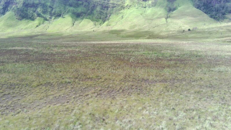 Aerial View of Jeeps in Bromo, East Java Stock Video - Video of ...