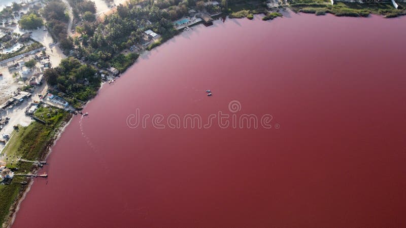 Lac Rose stock photo. Image of pink, tourism, africa - 225738326
