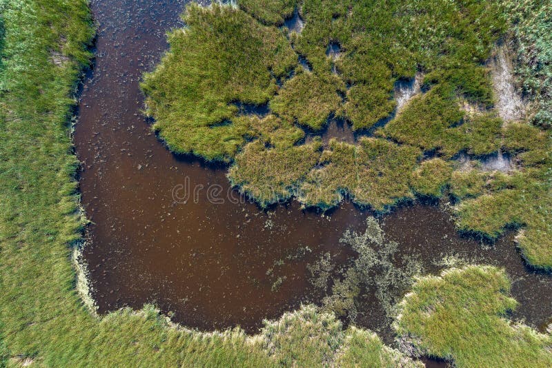 Aerial View of a Lake with Reed Stock Photo - Image of beautiful, water ...