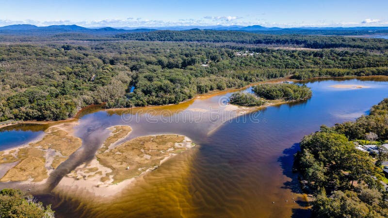 Aerial View of Lake Surrounded by Dense Trees Stock Image - Image of ...