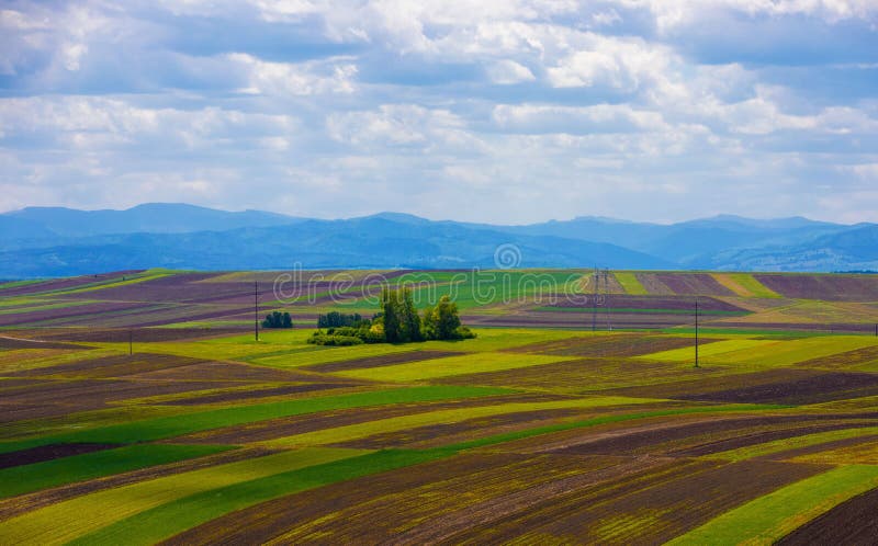 Aerial View of a Landscape with Different Crop Fields Growing on it ...