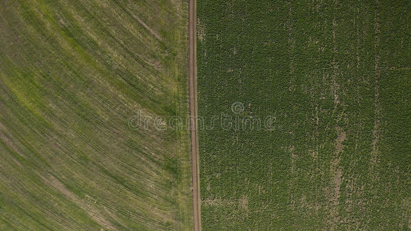 Aerial View of a Landscape of a Field Under the Sunlight Stock Photo ...