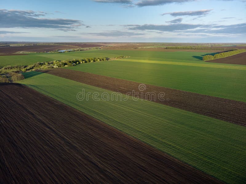 Aerial View of Landscape with Green Agricultural Fields, Springtime ...