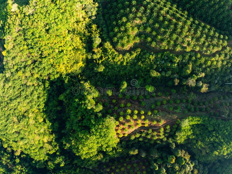 Aerial View Landscape Mountains View in Sunset or Sunrise Sky ...