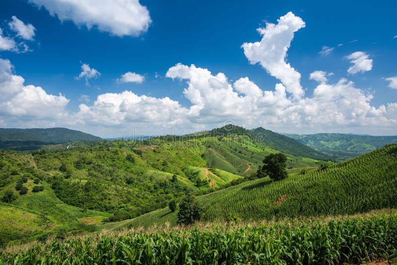 Aerial View Landscape from the Top of Mountain Stock Image - Image of ...