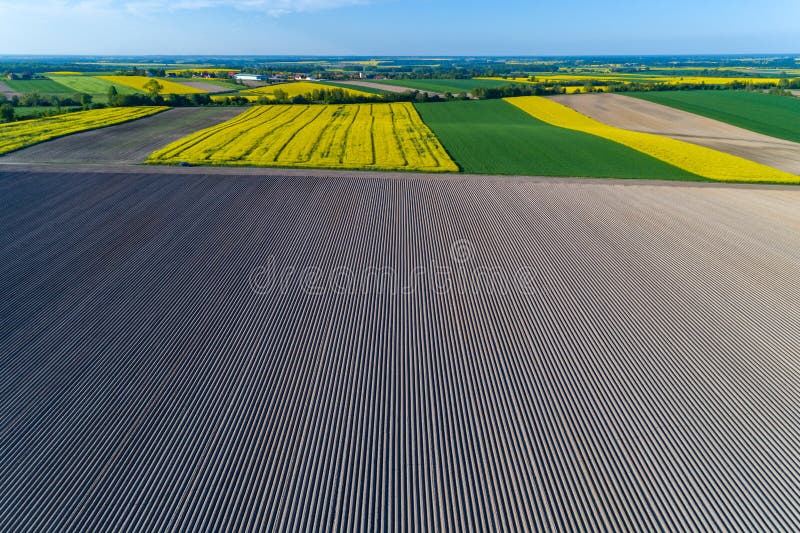 Aerial View on the Large Field Stock Photo - Image of agricultural ...