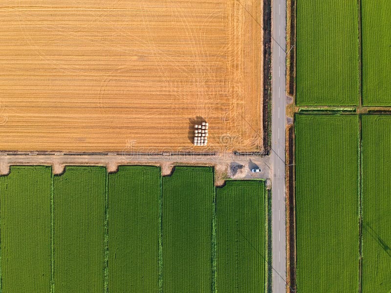 View of Large Outdoor Grass Stadium for Rugby, Generative Ai Stock ...