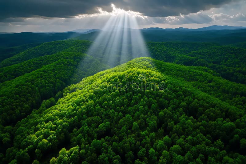 Aerial View, Light Rays, Piercing through Forest Clouds Create Beams of ...