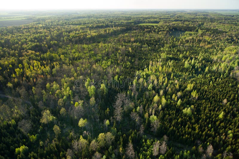 Aerial View of Lithuanian Countryside at Spring Stock Photo - Image of ...