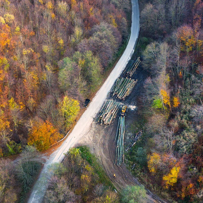 Aerial View of a Logging Yard in the Amazon Rainforest: the Yard is ...