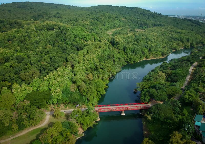 Aerial View of Long Bridge in the Forest Stock Photo - Image of tree ...
