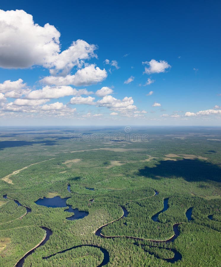 Forest plain with river stock photo. Image of outdoors - 111374672