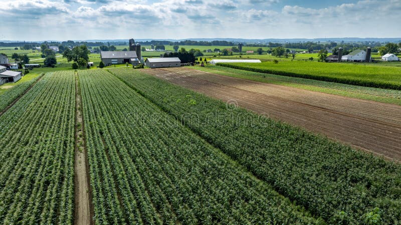 Aerial View of Lush Farmland with Crops and Barns Stock Photo - Image ...