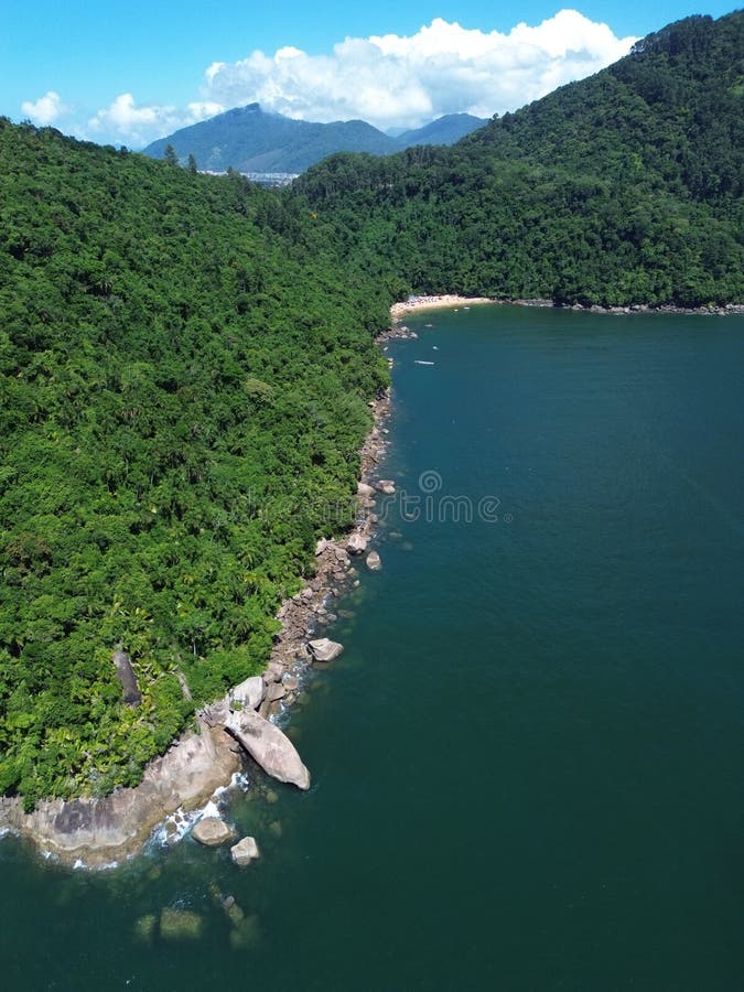 Aerial View of Lush Coastline and Ocean. Stock Photo - Image of forest ...
