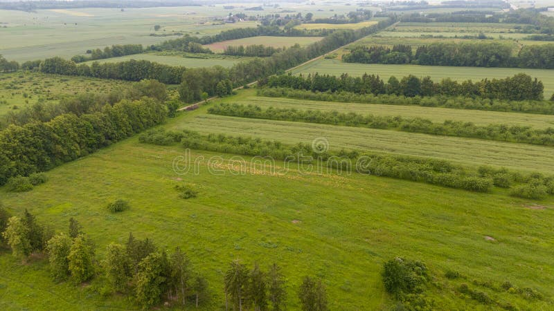 Aerial View of Lush Green Farmland and Forests Stock Photo - Image of ...