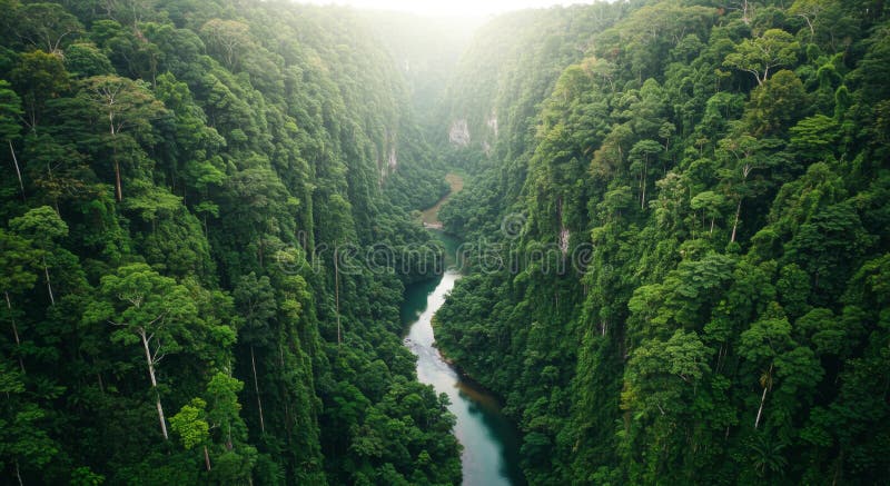 Aerial View Lush Green Rainforest River Valley Stock Illustration ...