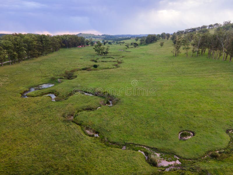 Aerial View of Lush Meadow Seen from Above Stock Image - Image of view ...